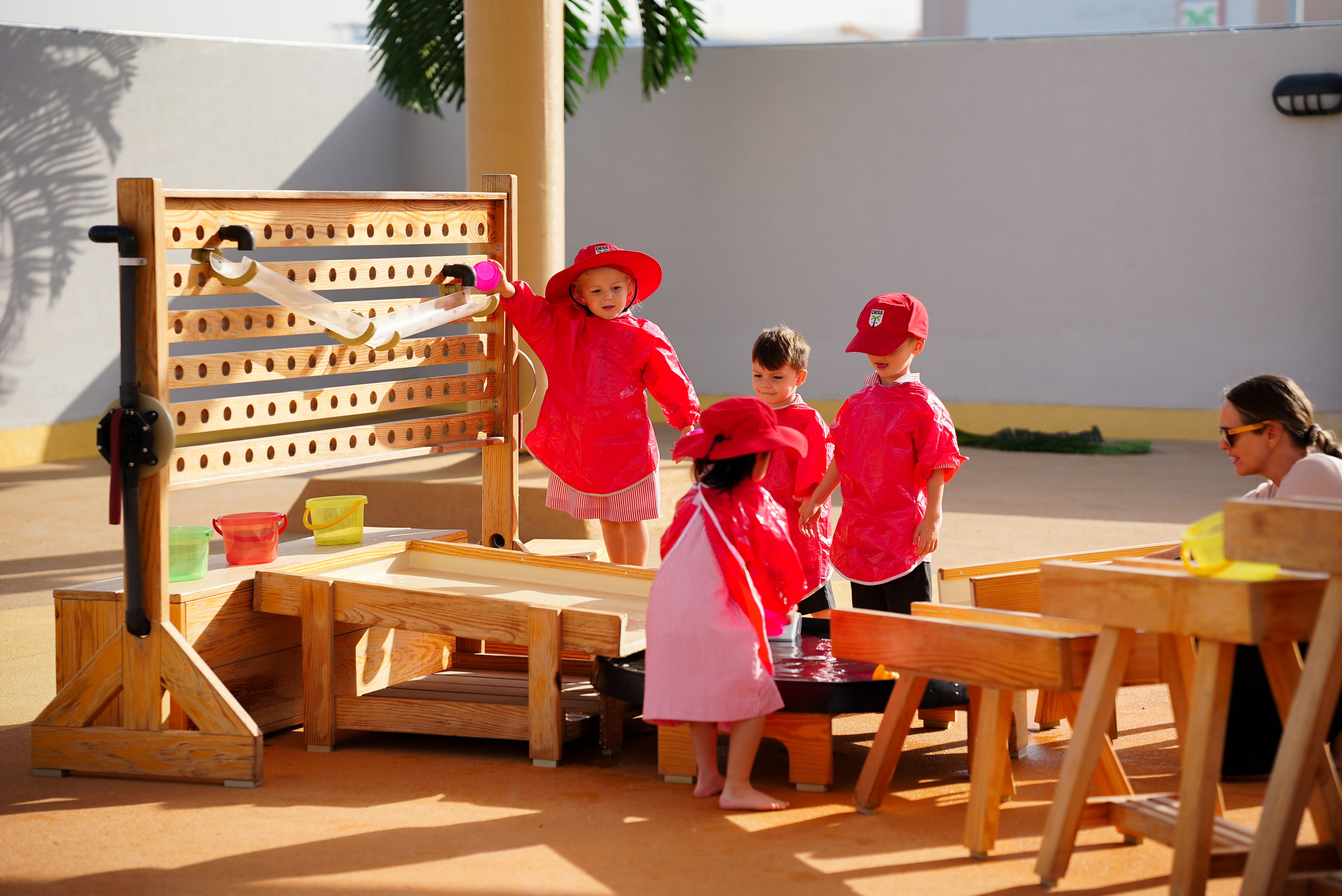 DESS Primary Academic City