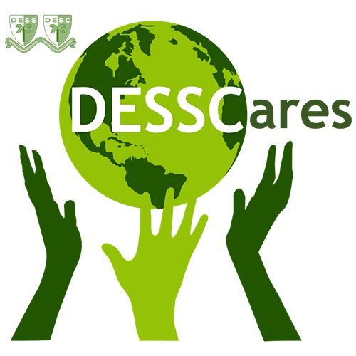 DESS Primary Academic City